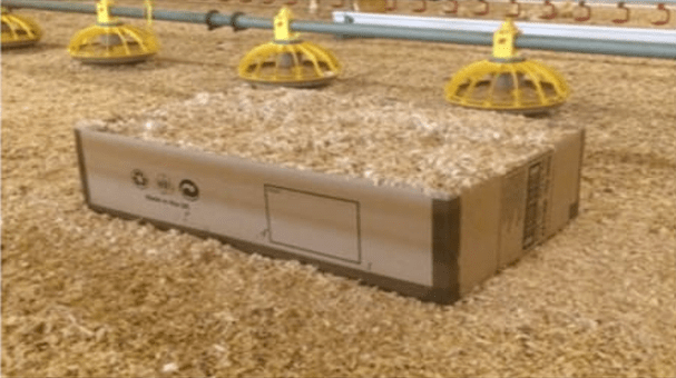 Environmental Enrichment Guidelines | Chicken Farming